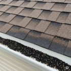 Asphalt Shingle Damage: Identification, Causes, & Solutions